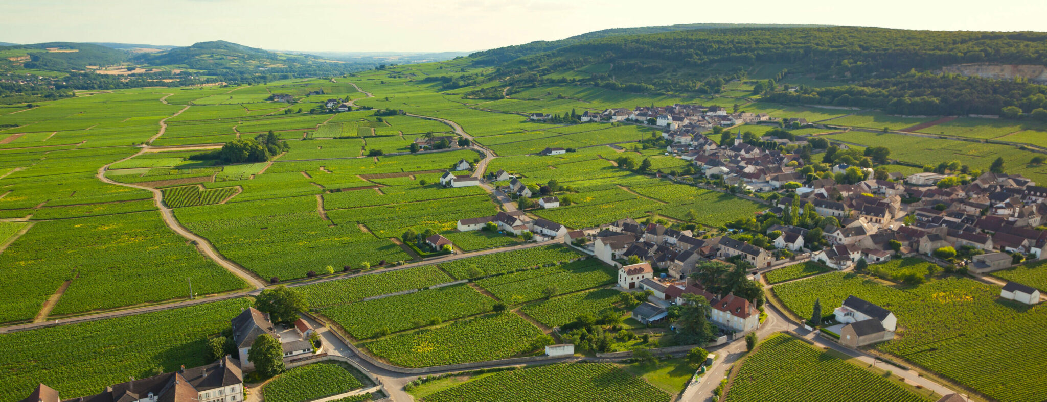 Chassagne-Montrachet – Olivier Leflaive