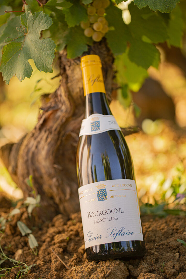 Winemaking – Olivier Leflaive
